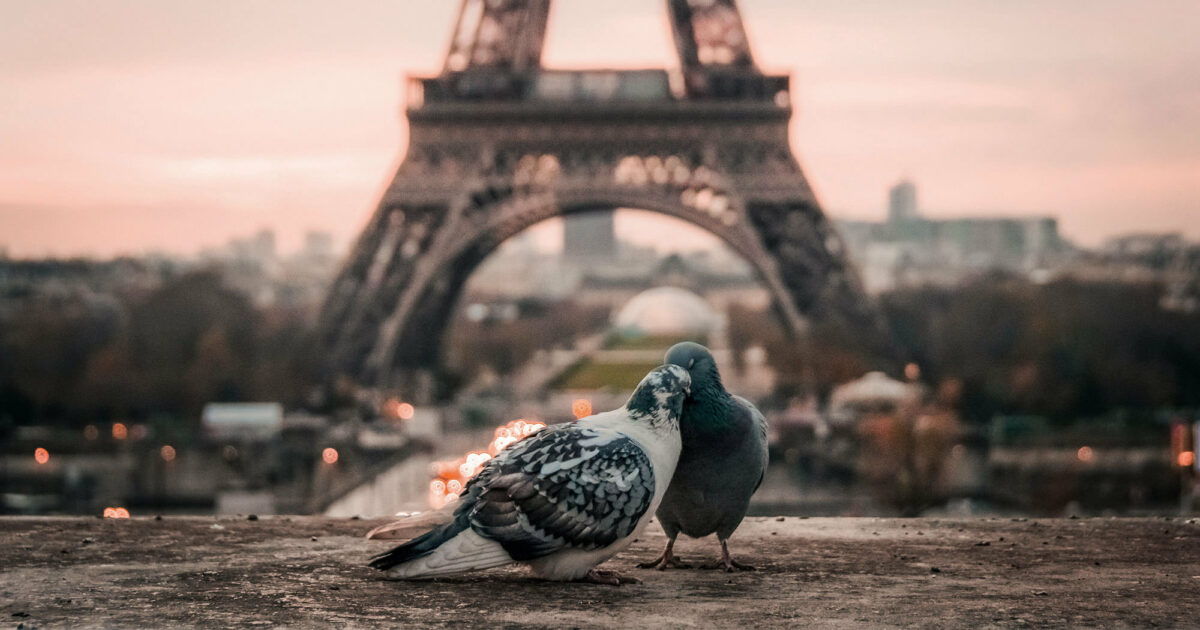 HI Canada | A global guide to public displays of affection