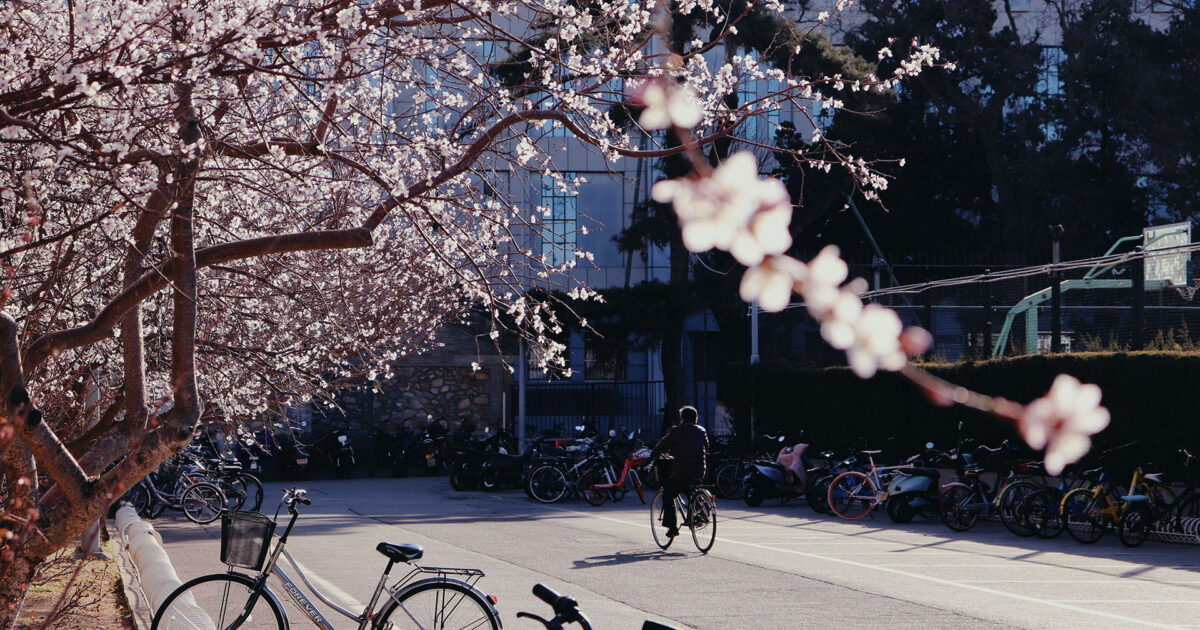 HI Canada | The best places in Canada to experience spring