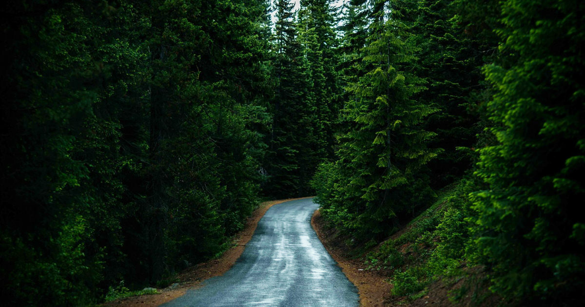 HI Canada | HI Canada Magazine