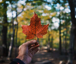 HI Canada | About HI Canada